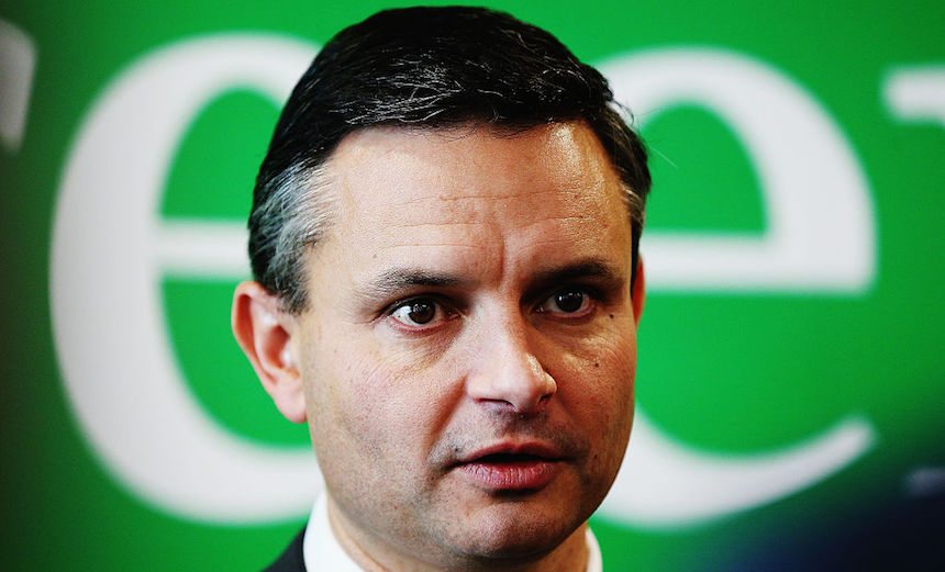 A former Green MP on the new Sustainable NZ party | The Spinoff