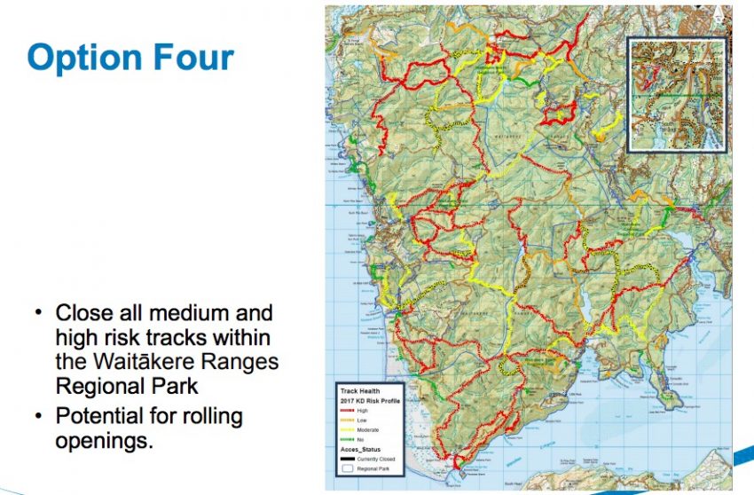 Has the council done enough to save the Waitakere Ranges kauri? | The ...