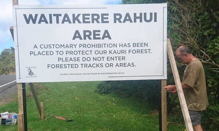 Does Auckland Council respect the rāhui, or reject the rāhui? | The Spinoff