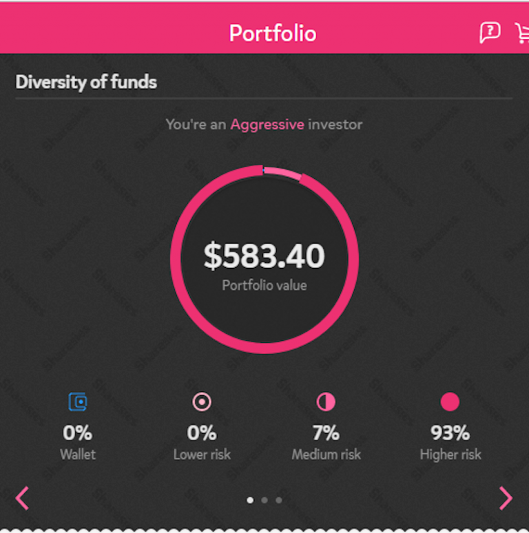 Sharesies makes its data look so good I want to invest | The Spinoff