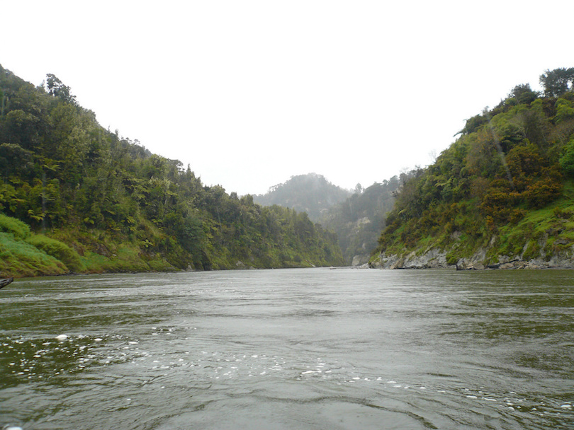 Wai Māori: a Māori perspective on the freshwater debate | The Spinoff