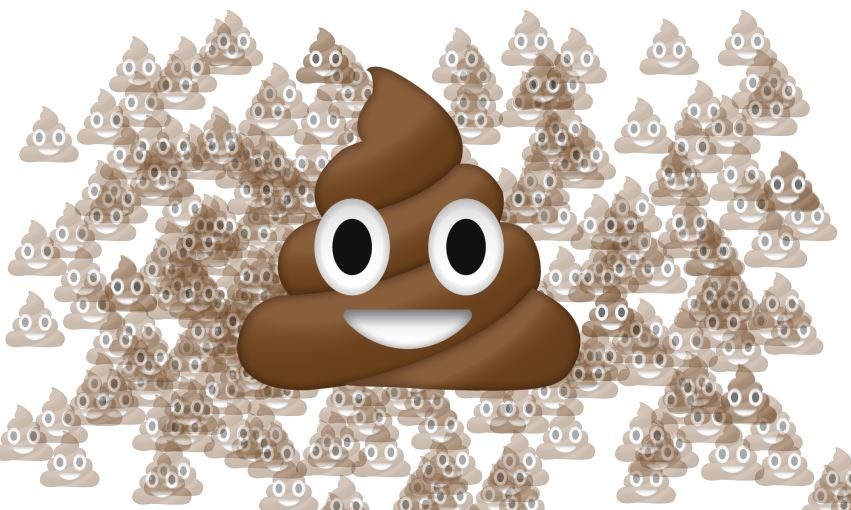 Your poo is alive (mostly). Here is what’s in it | The Spinoff