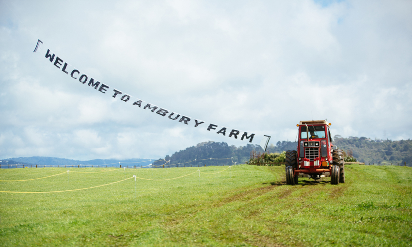 Auckland Council’s plan to reduce its emissions, from farms to fleet ...