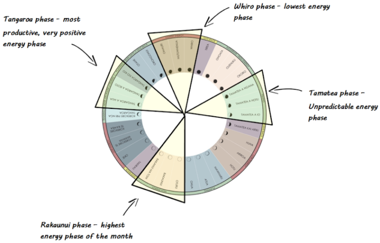 Learning to live by the Maramataka: Poutūterangi | The Spinoff