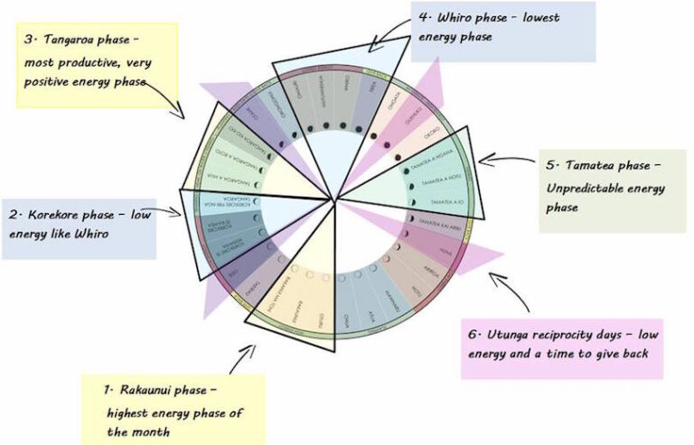 Learning to live by the maramataka: Hōngongoi | The Spinoff