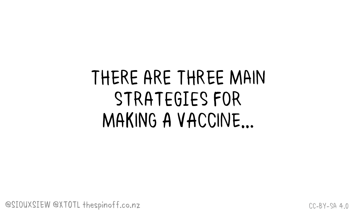 Siouxsie Wiles & Toby Morris: The race for a Covid-19 vaccine ...