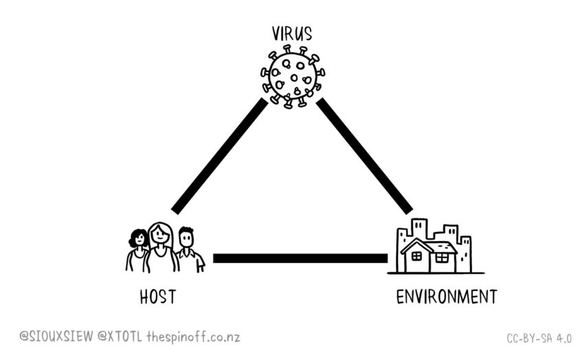 Siouxsie Wiles & Toby Morris: What is the Covid-19 ‘triangle’? | The ...