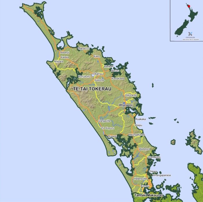 Election 2020: Putting the spotlight on Te Tai Tokerau | The Spinoff