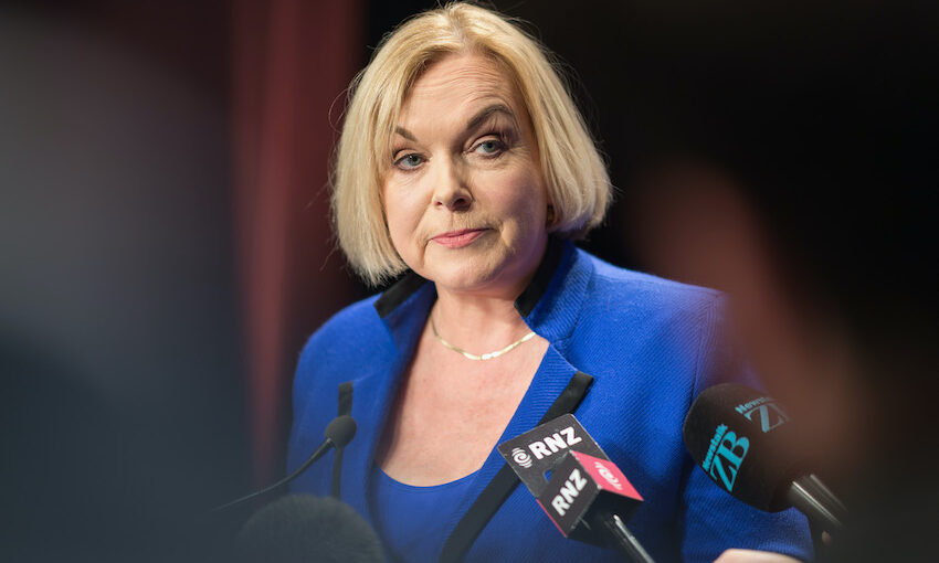 Judith Collins wants to help solve the country’s housing crisis. Do ...